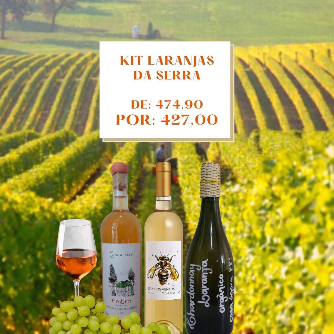 Boutique do Vinho | Vinhos Orgânicos e Naturais